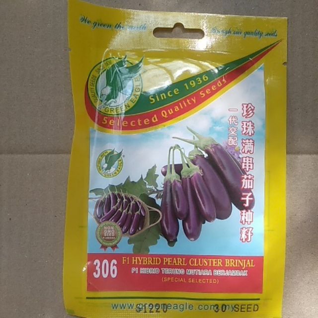 Green Eagle vegetables seed biji benih sayur -- F1 hibrid Terung ...