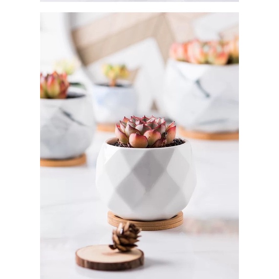 Aesthetic Ceramic Pot Marble Series Faceted Colorful For Succulent ...