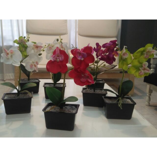 Artificial orchid/fake mini orchid/artificial plant | Shopee Malaysia