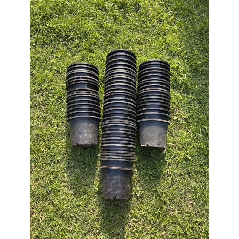 Pasu murah terpakai( 6inci) | Shopee Malaysia