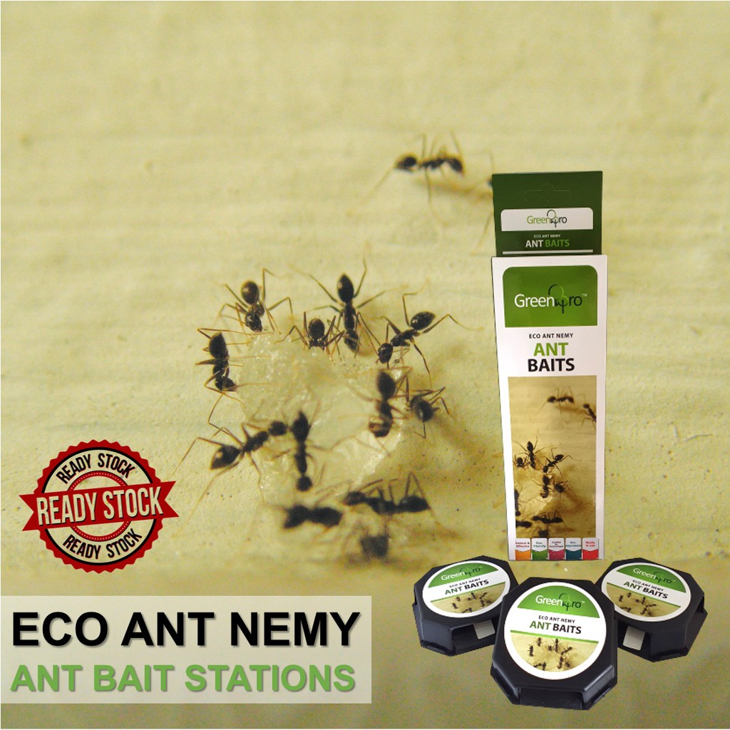 Eco Ant Nemy (Ant Bait / Eliminate Ants / 天然蚂蚁药 / Ubat Semut) *READY STOCK* by Green 3 Pro ...