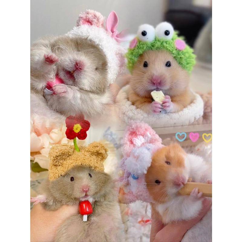 Hamster Hat Clothes Golden Bear Shape Cute Little Hat Ferret Hats, Hand ...