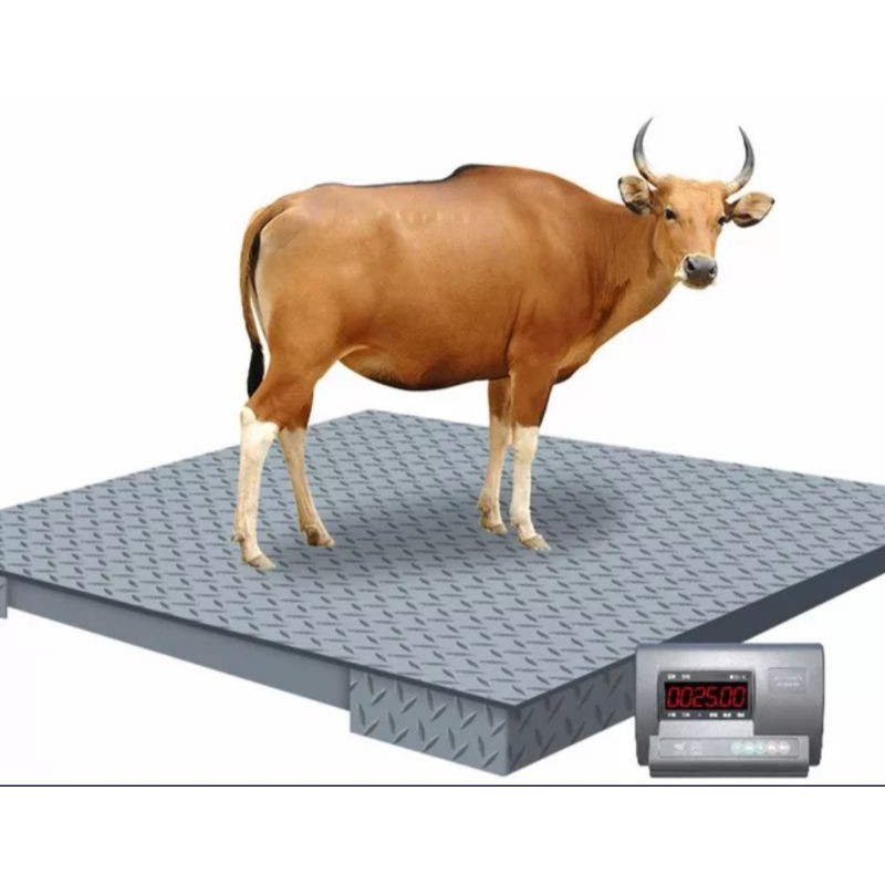 2 TON 4 FEET x 4 FEET DIGITAL FLOOR SCALE | Shopee Malaysia