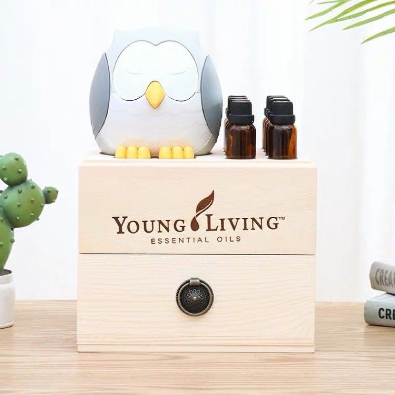 YL OWL DIFFUSER DISPLAY RACK/ PREMIUM GRADE STORAGE | Shopee Malaysia