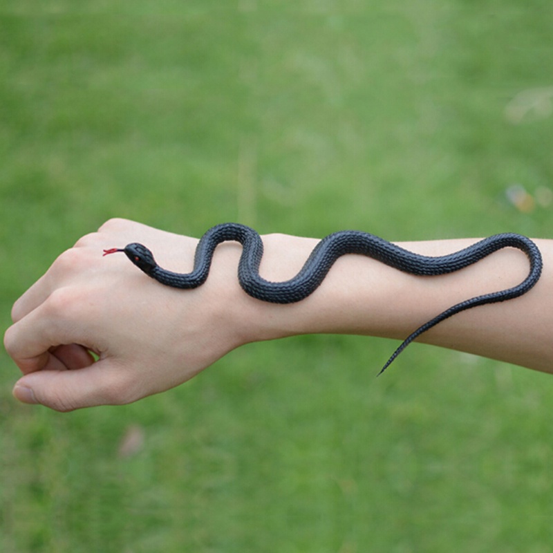 Scary Props Horror Small Snake Soft Rubber Snake Toy Novelty Funny Toys ...