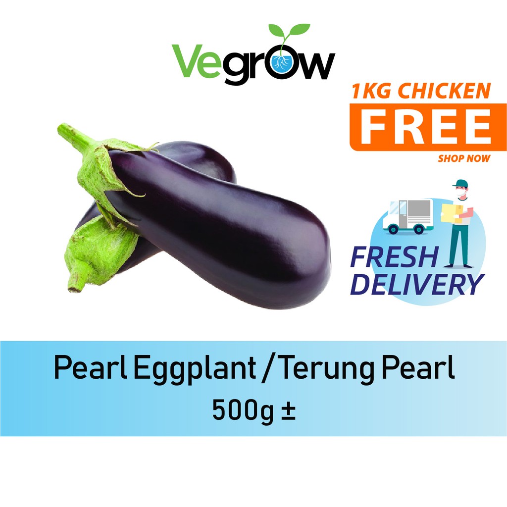 🔥FRESH 🔥Pearl Eggplant / Terung Pearl 500g +- | Shopee Malaysia