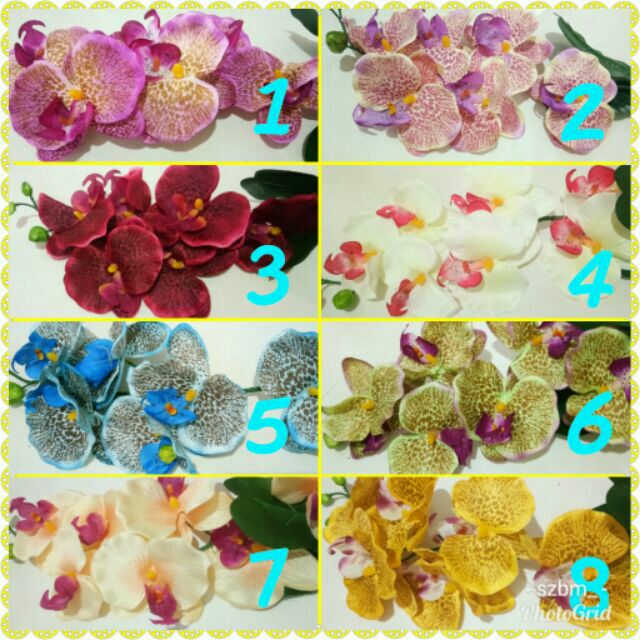 BUNGA COTTON BINTIK (1 TANGKAI) | Shopee Malaysia