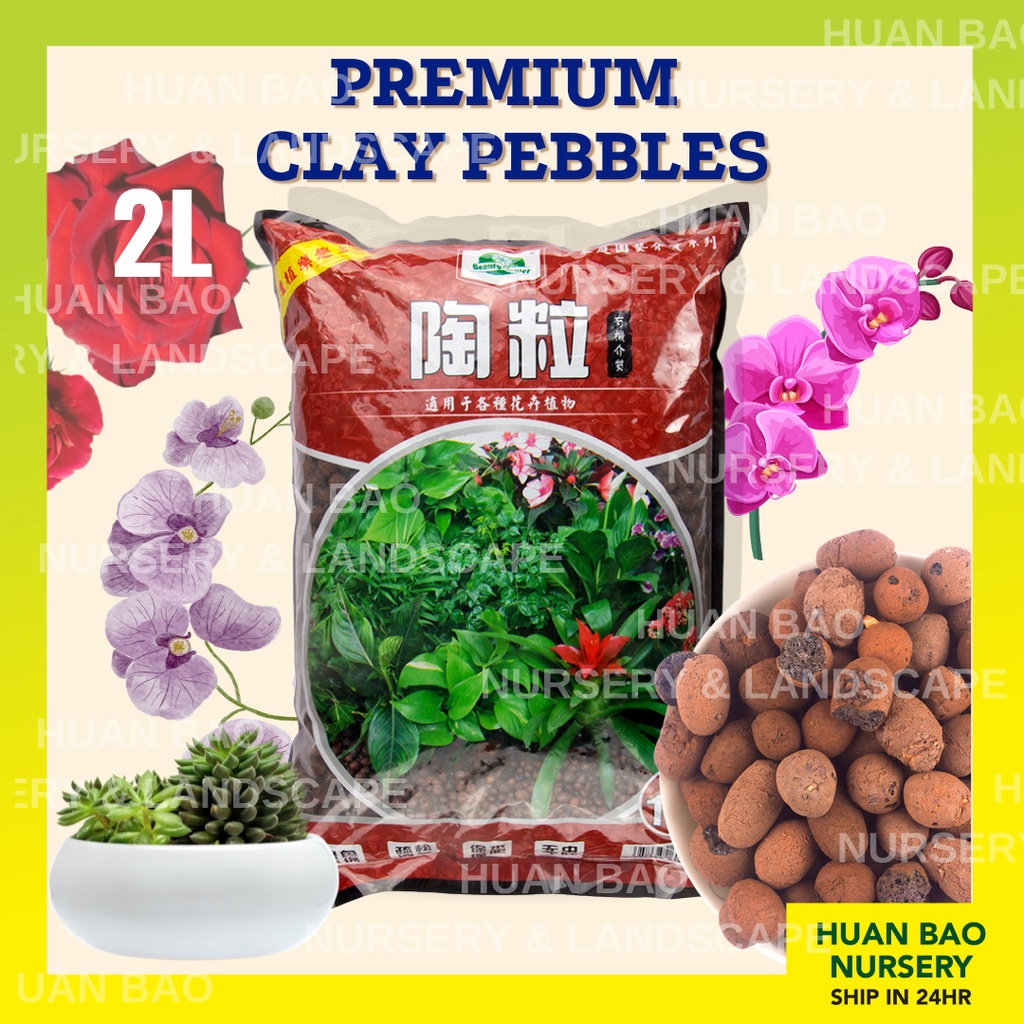 Leca Clay Pebbles Hydro Stone Clay Ball Leca Hydrokorrels Succulent ...
