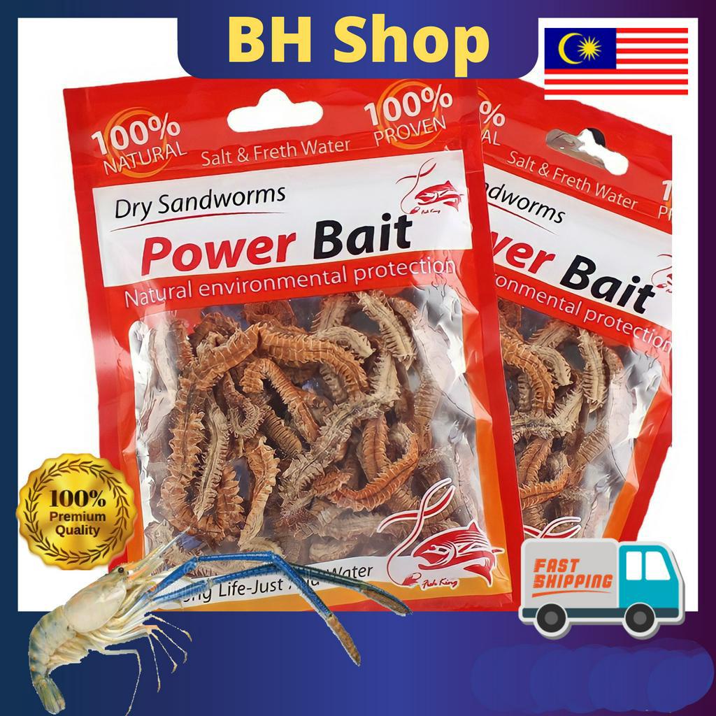 10g Umpan Ruat/Umpun Kering Pancing Udang dan Ikan Dry bait Sandworms ...