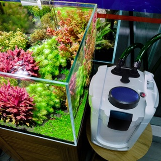 SUNSUN HW-702B HW-703B HW-704B Canister UV Filter & Surface Skimmer For ...