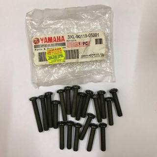 SKRU SCREW BUNGA BOLT hijau untuk ikat casing enjin enjine RXZ model ...