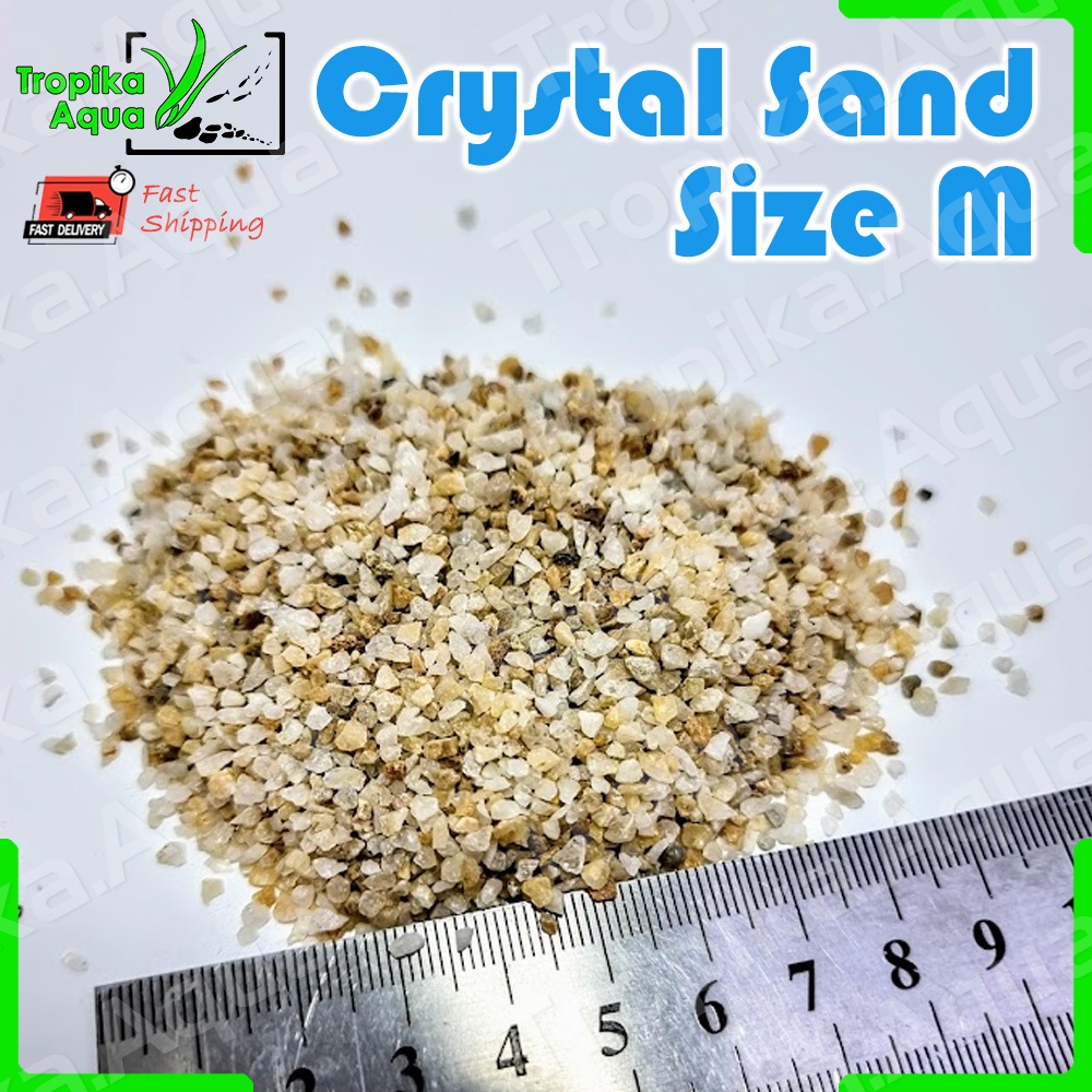 Crystal Sand 1kg - substrate aquarium fish tank aquascape pasir ...