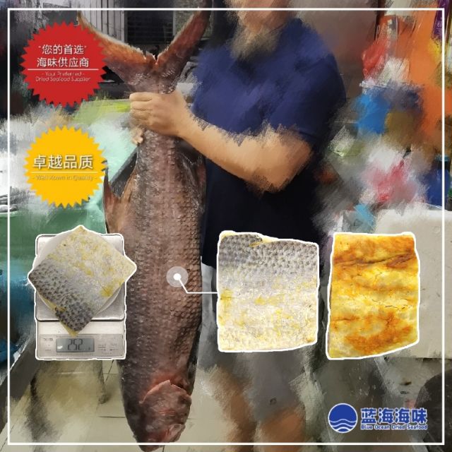 丹佬咸魚干 │ Kurau Salted Fish │ Ikan Kurau Masin | Shopee Malaysia