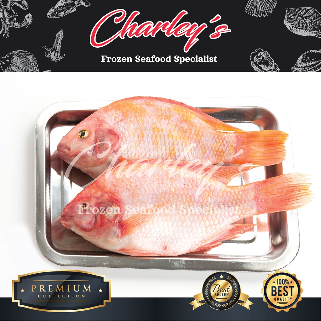 Fresh Frozen Red Tilapia | 活杀速冻红非洲鱼 | Cleaned 400-450G | Charleysfood ...