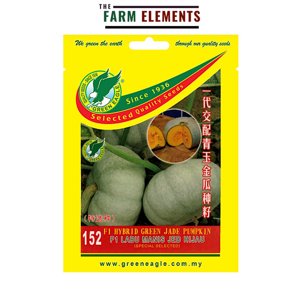 GE 152 F1 Hybrid Green Jade Pumpkin Seed/ F1 Hibrid Labu Manis Benih (8 ...