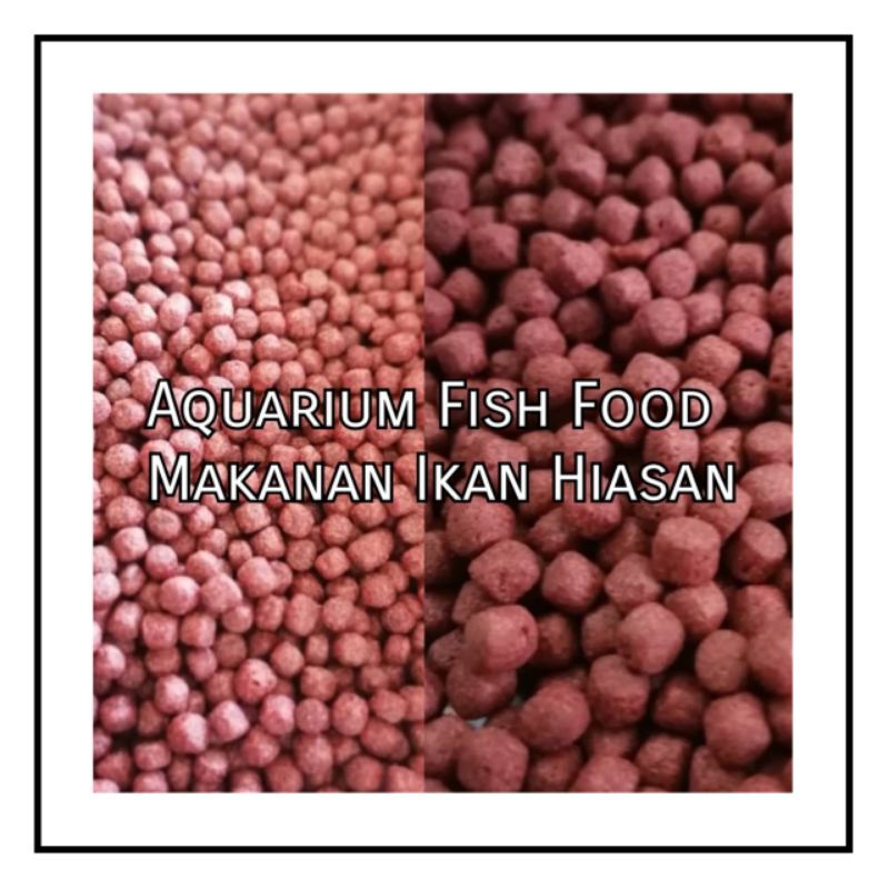 Dindings 5901 Aquarium Fish Food Premium [1kg] / Makanan Ikan Hiasan ...