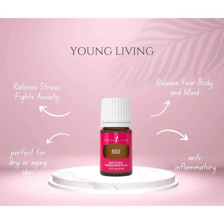 Young Living YL Rose Essential Oil 5ml | Shopee Malaysia