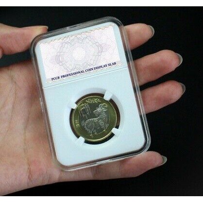 A37 PCCB PS Coin Display Slab (9.5mm to 40mm) | Shopee Malaysia