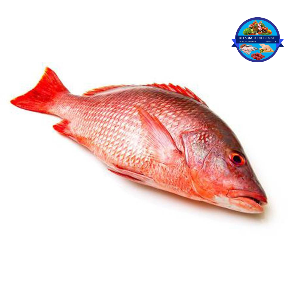 IKAN MERAH SEGAR / FRESH RED SNAPPER | Shopee Malaysia