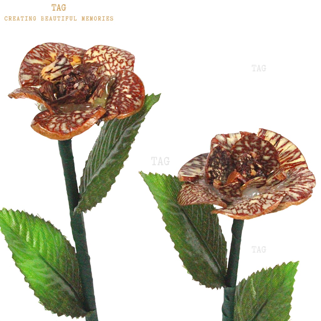 Wedding Craft Engagement Decoration Accessories Flower Aksesori Kahwin ...
