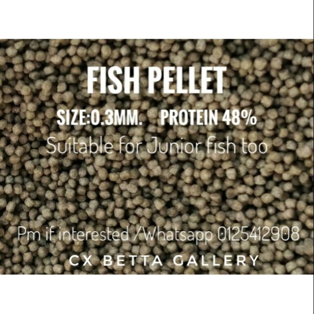 (500g) Seamaster F00 Makanan Ikan betta, guppy, ikan kecil | Shopee ...