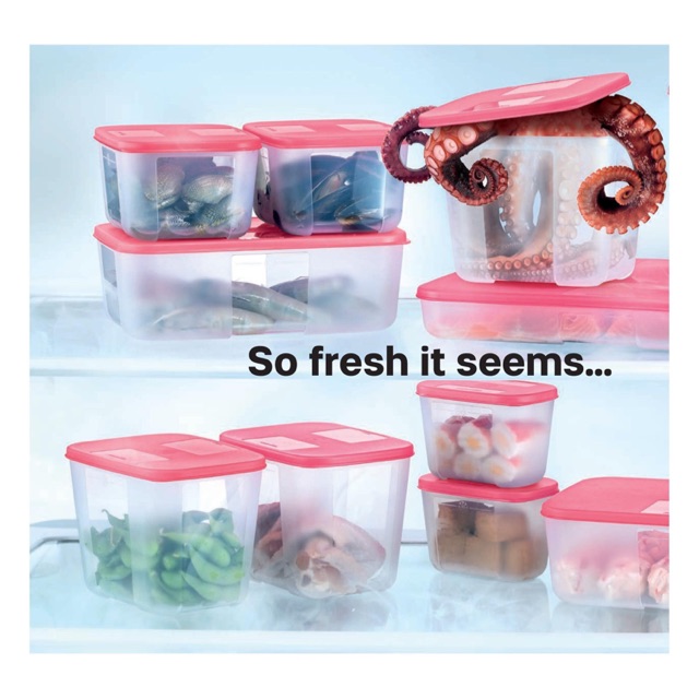 TUPPERWARE Freezer Mate Set | Shopee Malaysia