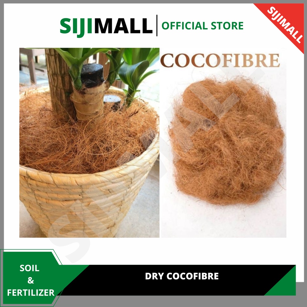 Serat sabut kering, fiber sabut kering, Dry Coco fibre for decoration ...