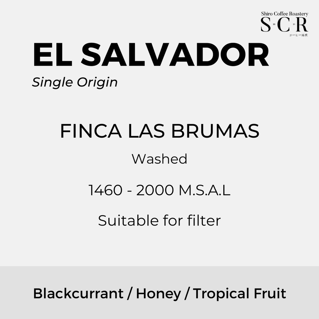 Shiro Coffee Roastery | Drip Bag Coffee (10 Packs) | Shopee Malaysia