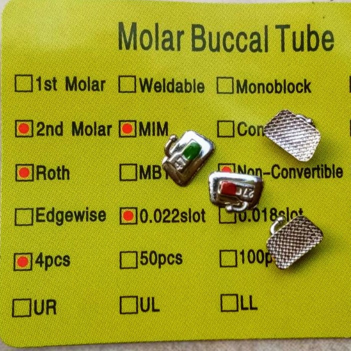 Dental LOCKS BEHEL BUCCAL BUCCAL TUBE BUCCALTUBE MINI SMALL M2 ROTH ...