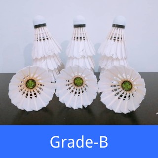 【ShuttleNice】 Secondhand/Used Badminton Shuttlecock (Brand: RSL ...