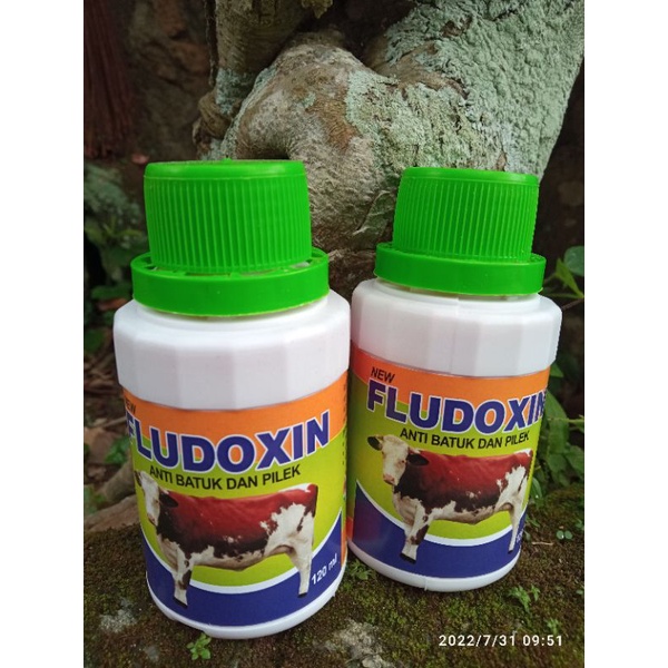 Flutd COUGH MEDICINE FOR GOAT AND COW FLUTDOKXIN FOR FLUTD LIVESTOCK ...