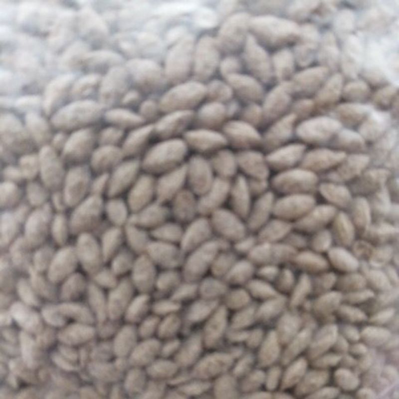 [Cereal]BUBBLE RICE Puffed rice WHITE /COCOA /COLORFUL / bertih beras ...