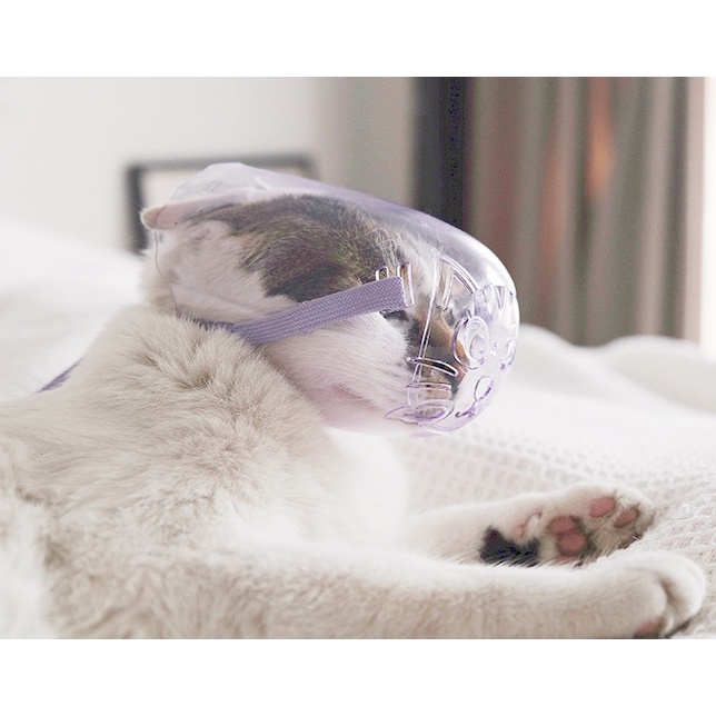 Washable Protective Cat Muzzle Face Mask Face Shield Dog Mask Anti-Bite ...