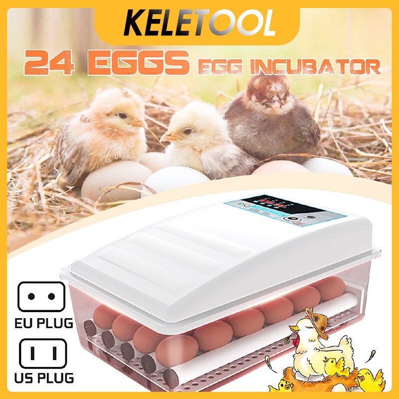 Incubator Automatic Brooder Farm Chick Hatchery Machine Digital 24 Egg ...