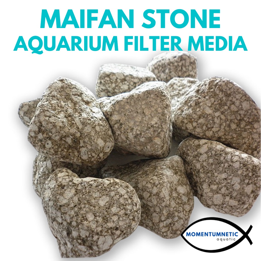 Maifan Stone Aquarium Filter Media (500g) 麦饭石 | Shopee Malaysia