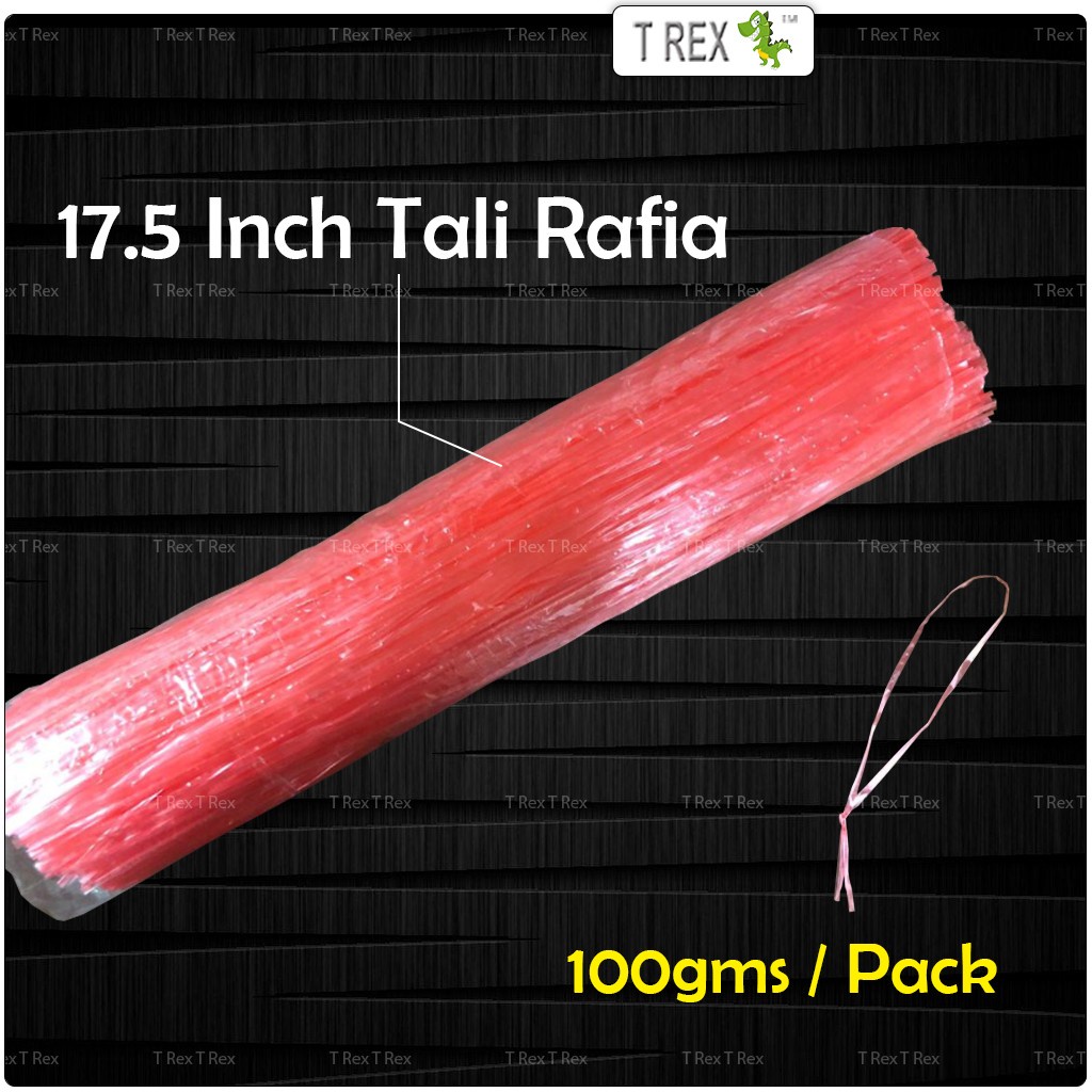 100gms 17.5 Inch Tali Rafia Ikat Tapao (Belum Ikat) / Plastic Raffia ...