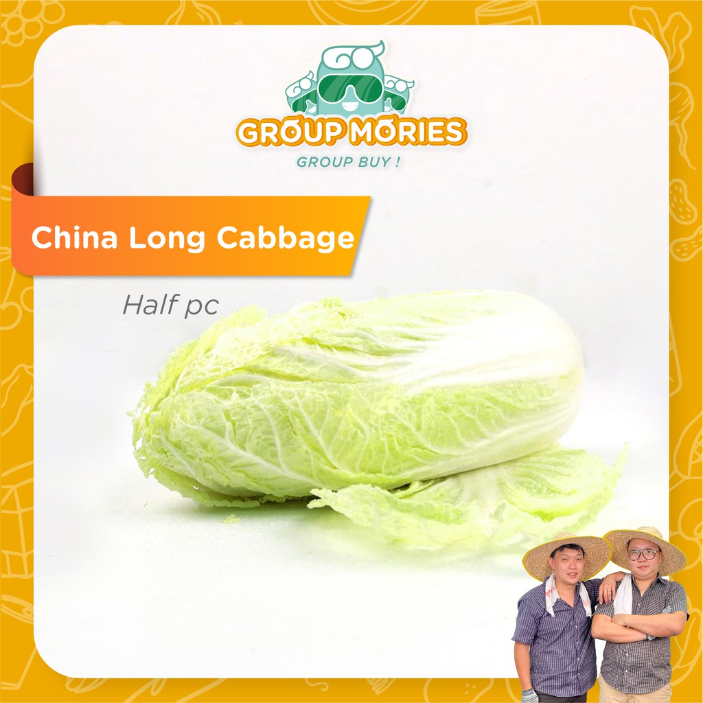 China Long Cabbage / Kubis Panjang China / 中国黄芽白 - half pc | Shopee ...