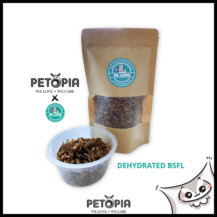 Dr Larva Dehydrated BSFL / Phoenix Worm [75g] | PETOPIA Sugar Glider ...