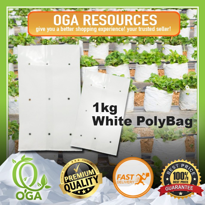 1KG HDPE Premium White Polibeg /putih pilibeg /UV Poly Bag Polybag ...