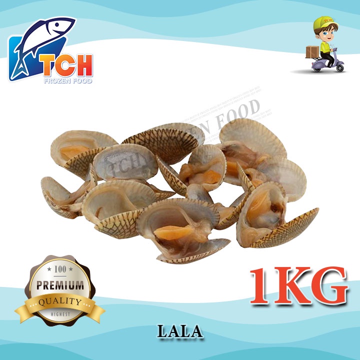 LALA BUNGA, CLAM , TCH FROZEN FOOD, FRESH FROZEN SEAFOOD, WHOLESALE ...