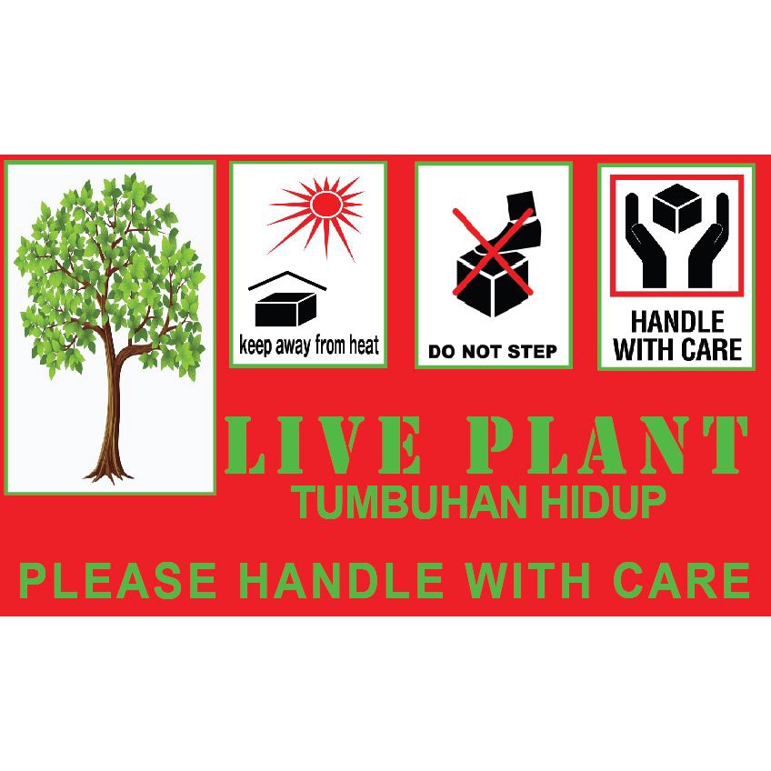 🔥 [BUY 10 + 1 ] 🔥READY STOCK🔥 STICKER FRAGILE POKOK 10 PCS /LIVE PLANT ...