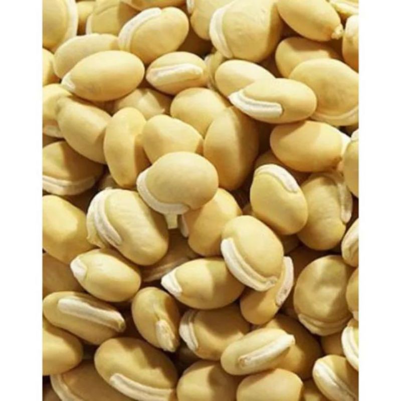 Mochai / Dried Beans - 1 kg | Shopee Malaysia