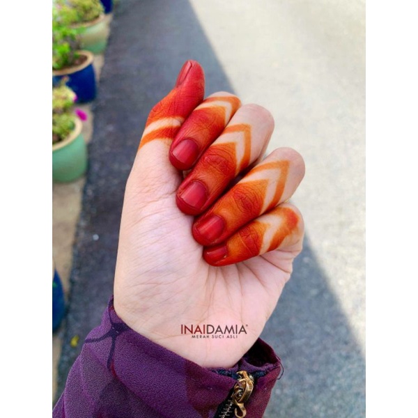 INAI DAMIA PURE HALAL 🔥 💯% DAUN INAI ASLI 🔥 | Shopee Malaysia