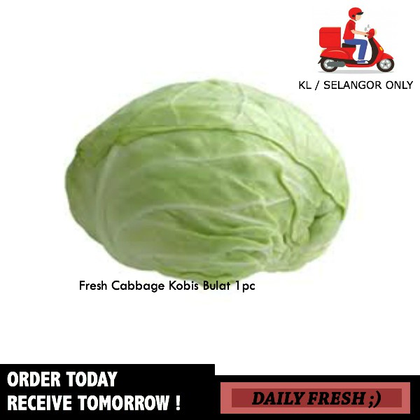 Fresh Cabbage Kobis Bulat 1pc (1kg) Fresh Vegetables | Shopee Malaysia