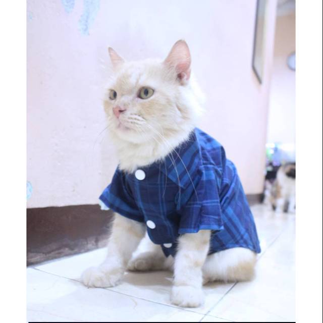 KEMEJA Cat Clothes/ Blue Plaid Cat Shirts For Cats/Dogs size S-XL ...