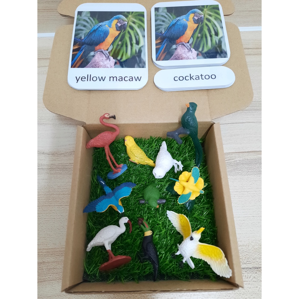 Insect Toy Realistic Insect Model Montessori Animal Match Miniature ...