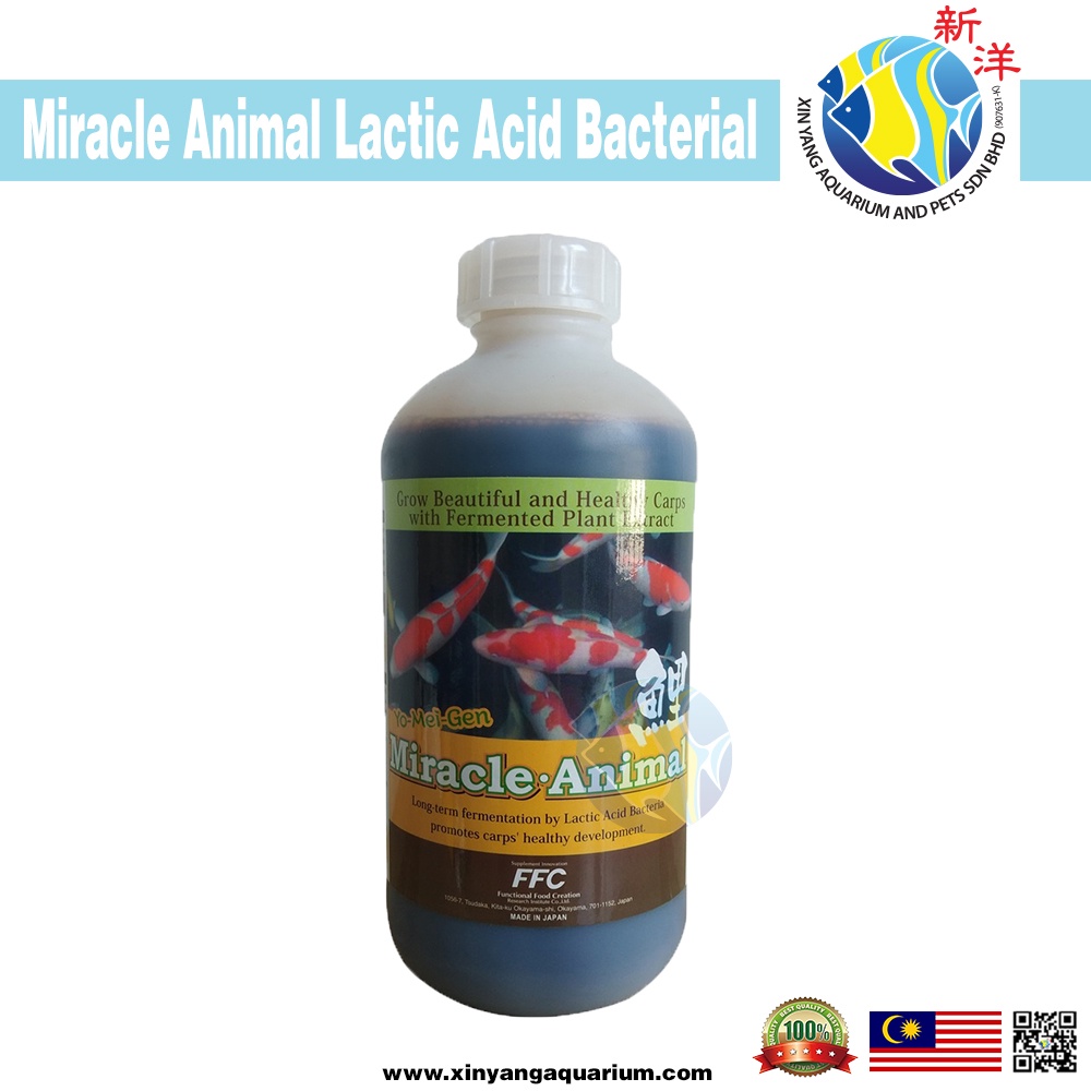 MIRACLE ANIMAL LACTIC ACID BACTERIA - 1L | Shopee Malaysia