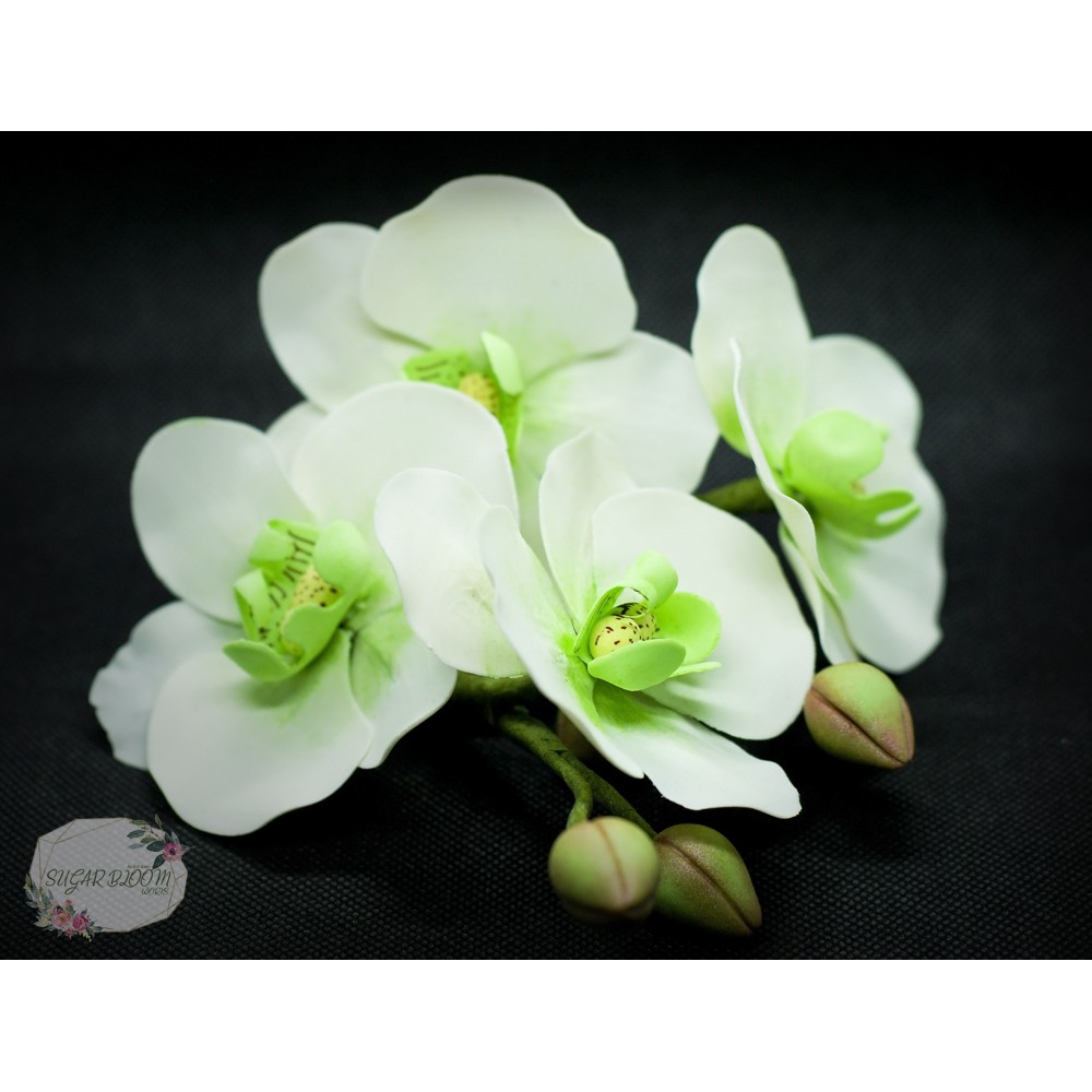 A Gumpaste Flower Orchid READY STOCK Cake Topper 2 Pcs / Bunga Hiasan ...