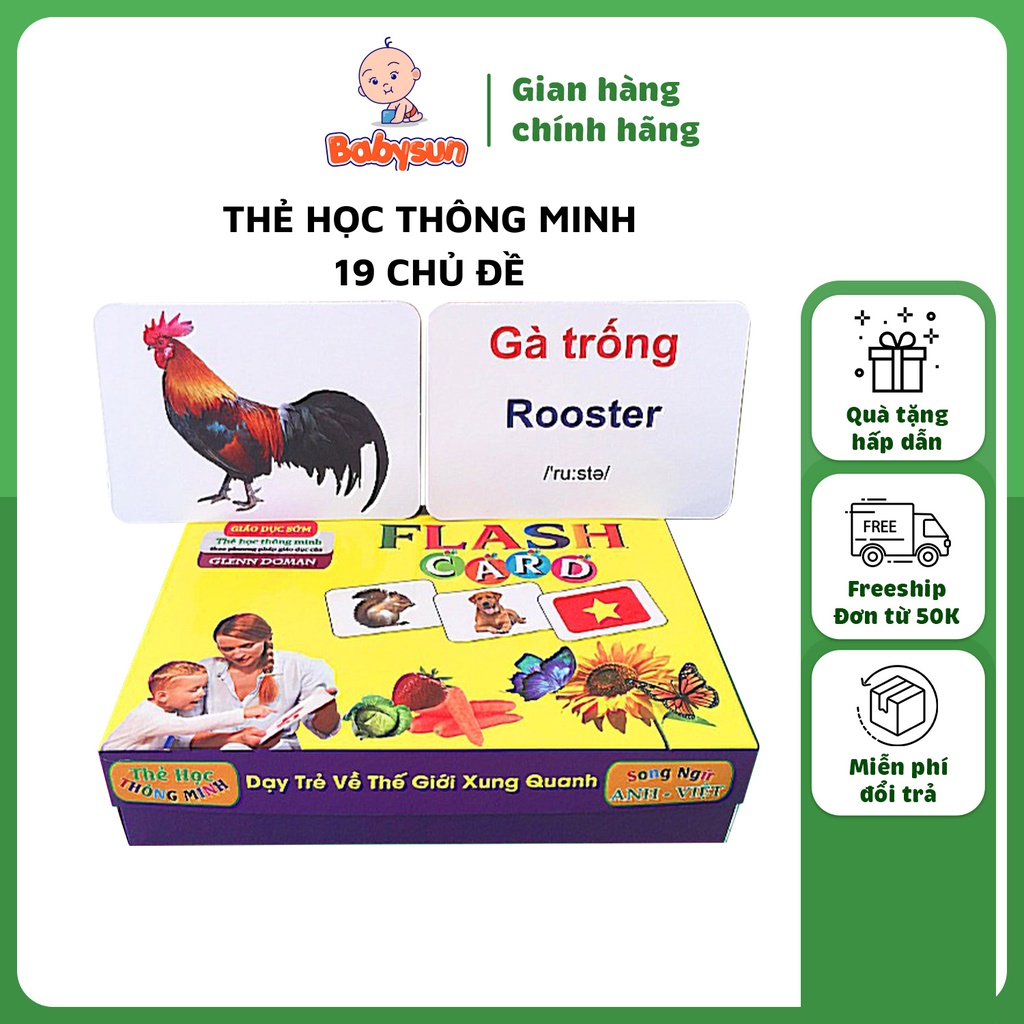 Set of 256 English-Vietnamese bilingual smart learning cards with 19 ...