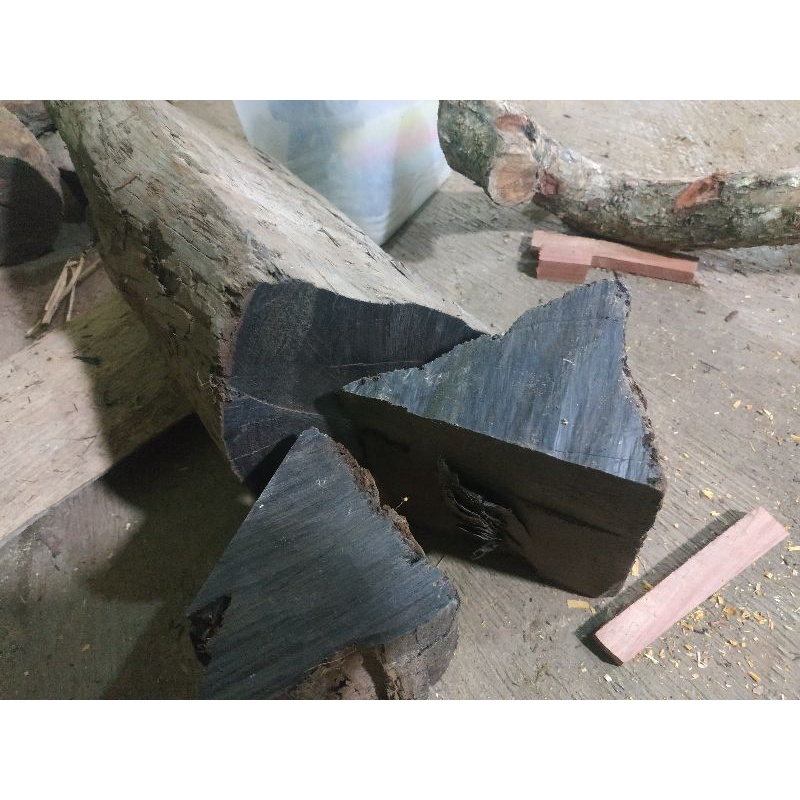 KAYU Javanese Moringa Wood Material | Shopee Malaysia